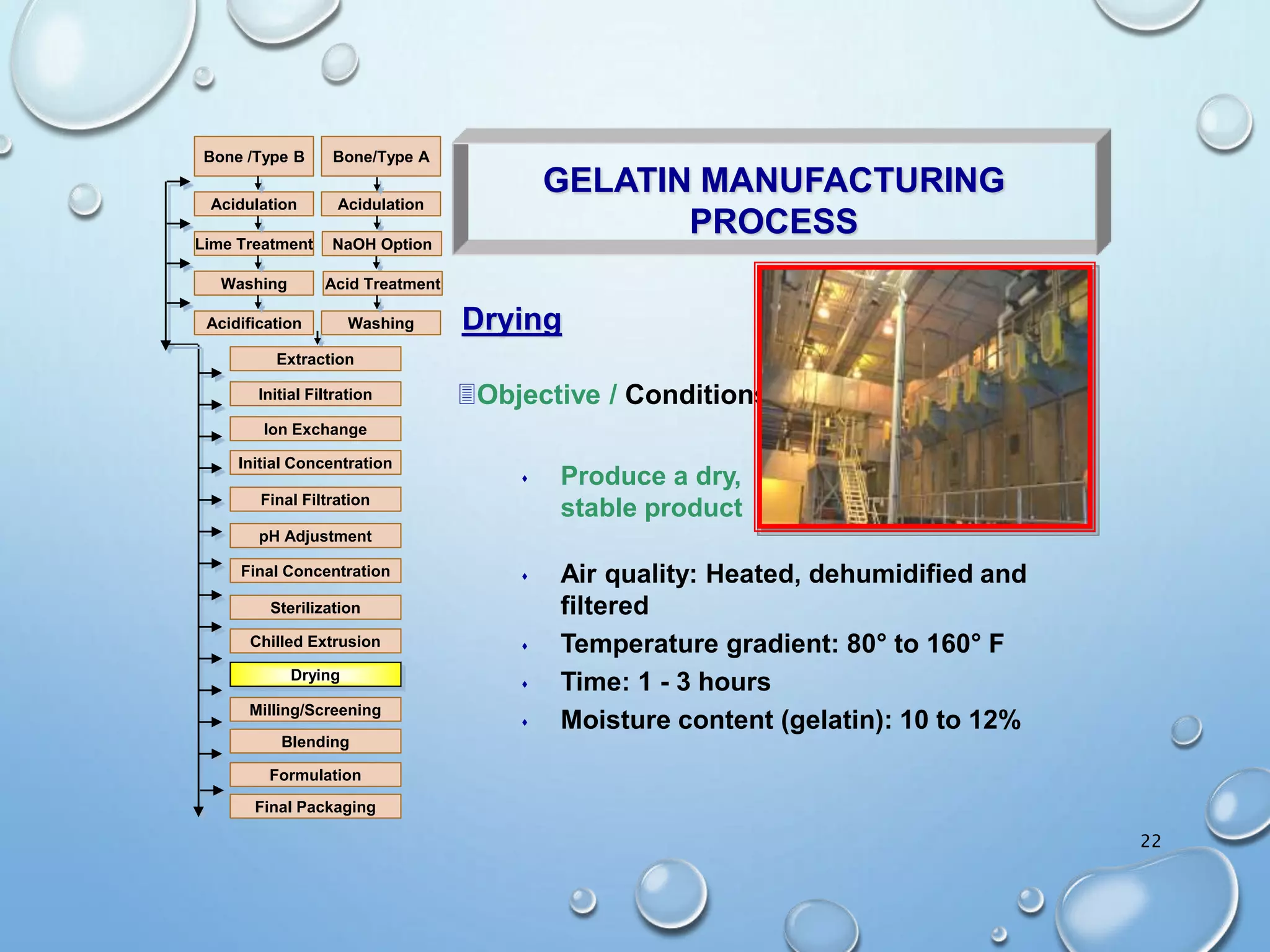 Manufacture of gelatin | PPTX