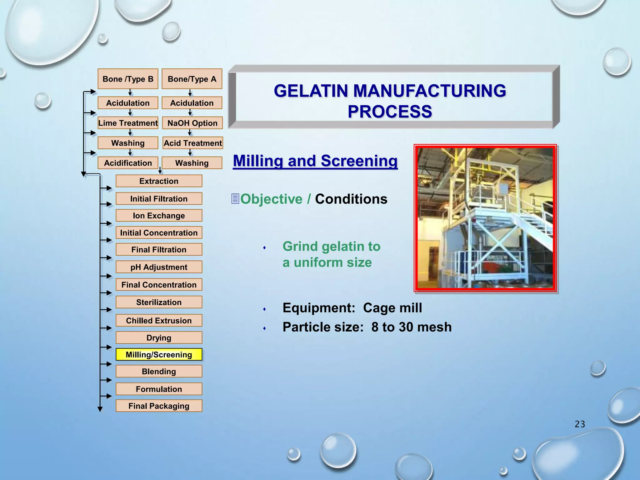 Manufacture of gelatin | PPTX