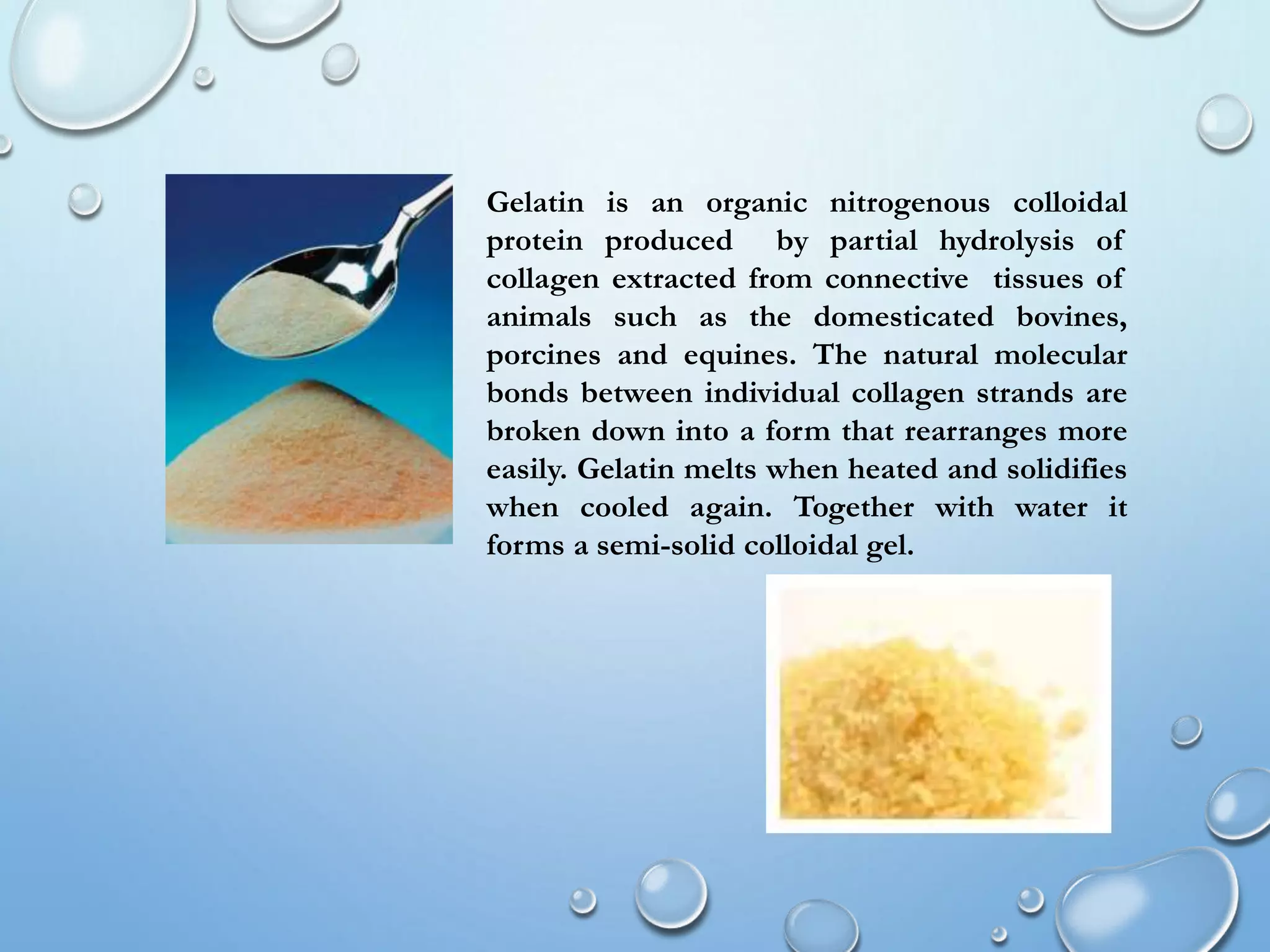 Manufacture of gelatin | PPTX