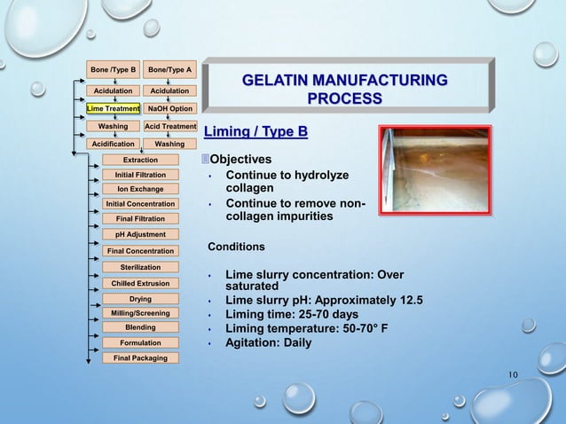 Manufacture of gelatin | PPTX | Chemistry | Science