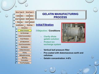 Manufacture of gelatin | PPTX