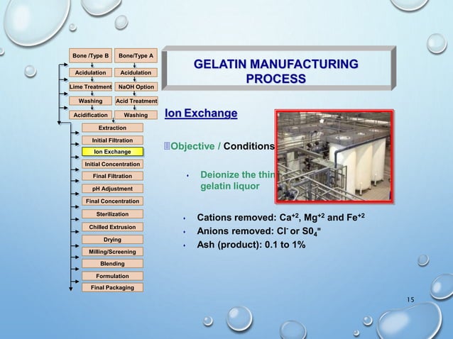 Manufacture of gelatin | PPTX | Chemistry | Science