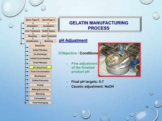 Manufacture of gelatin | PPTX | Chemistry | Science