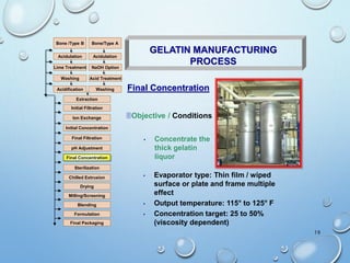 Manufacture of gelatin | PPTX