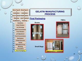 Manufacture of gelatin | PPTX