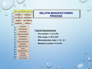 Manufacture of gelatin | PPTX