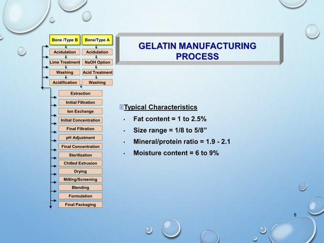 Manufacture of gelatin | PPTX | Chemistry | Science