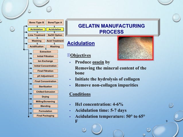 Manufacture of gelatin | PPTX | Chemistry | Science