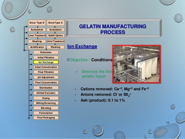 Manufacture of gelatin