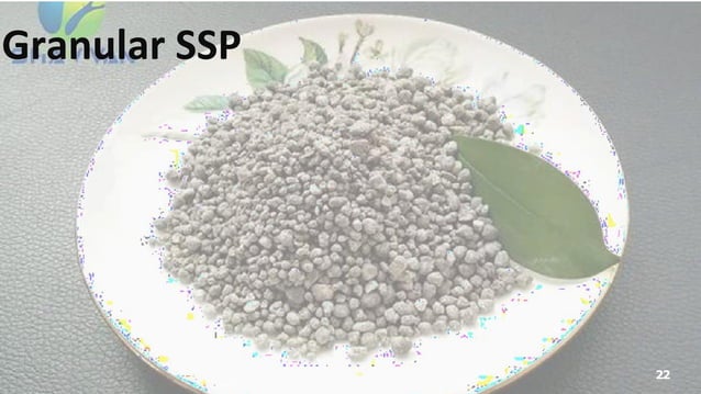 Manufacture of manufacturing of single superphosphate and triple superphospahte ssp | PDF ...