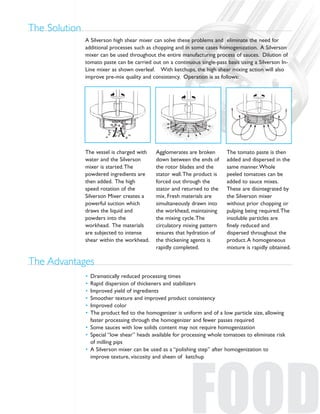 Food Industry Case Study: Manufacturing Tomato Sauces & Ketchup | PDF