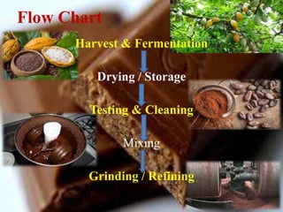 Manufacturing of chocolate Whole Process and its Defects | PPTX