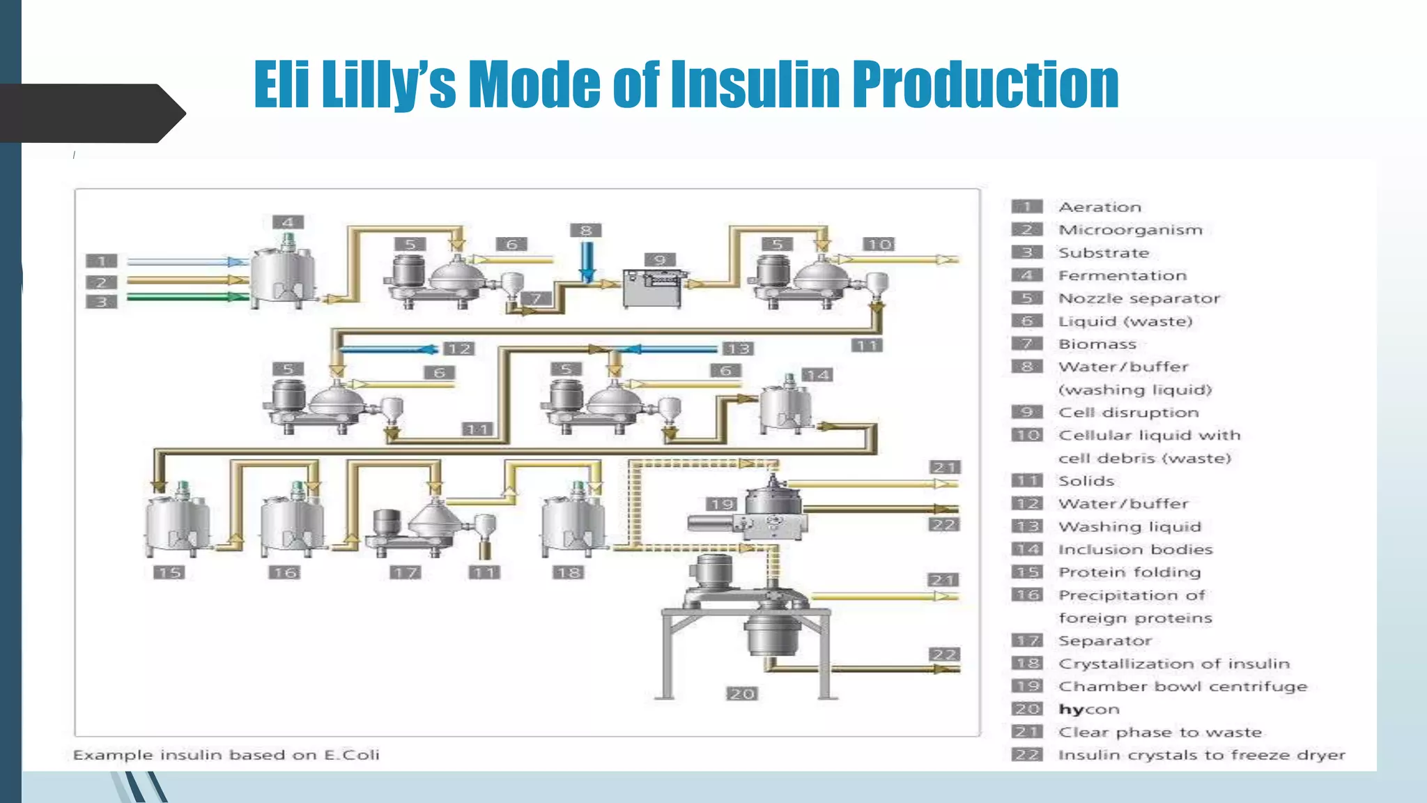 Industrial Manufacturing of Insulin, | PPTX