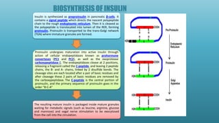 Industrial Manufacturing of Insulin, | PPTX