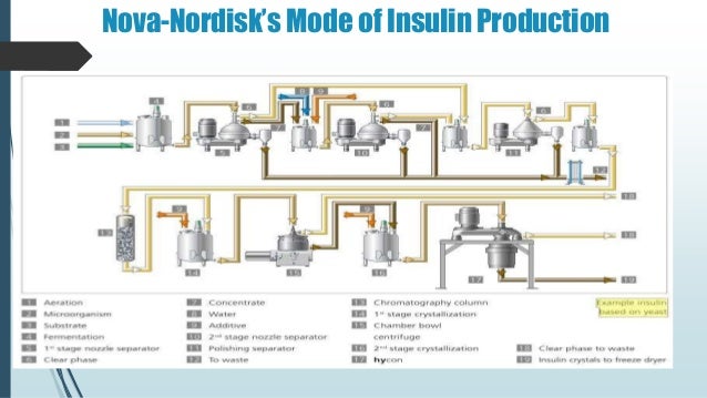 Industrial Manufacturing of Insulin,