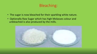 Manufacturing of Sugar | PPTX