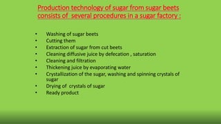 Manufacturing of Sugar | PPTX