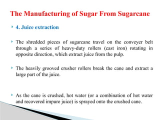 Manufacturing of Sugar From Sugarcane.pptx