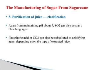 Manufacturing of Sugar From Sugarcane.pptx