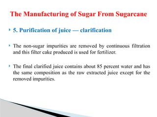 Manufacturing of Sugar From Sugarcane.pptx