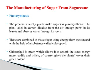 Manufacturing of Sugar From Sugarcane.pptx
