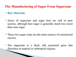 Manufacturing of Sugar From Sugarcane.pptx