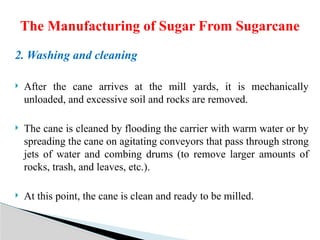 Manufacturing of Sugar From Sugarcane.pptx