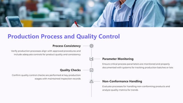 Manufacturing process audit checklist with eAuditor | PDF