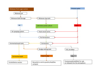 Manufacturing Process of molasses based distillery ppt.pptx