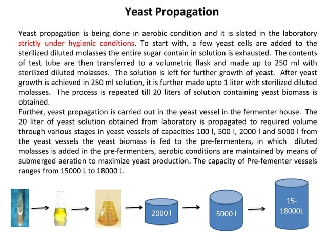 Manufacturing Process of molasses based distillery ppt.pptx