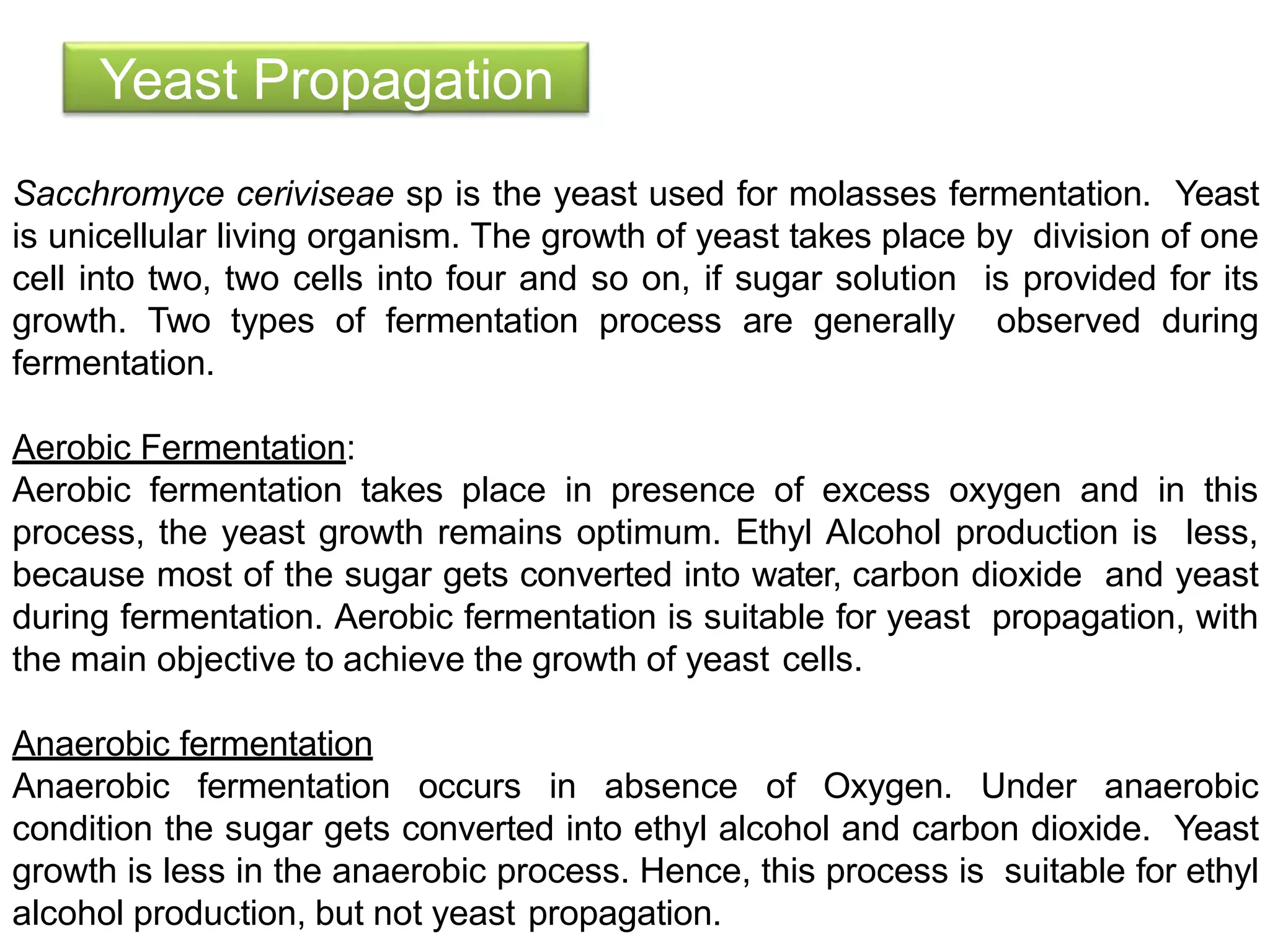 Manufacturing Process of molasses based disttilery-converted.pptx