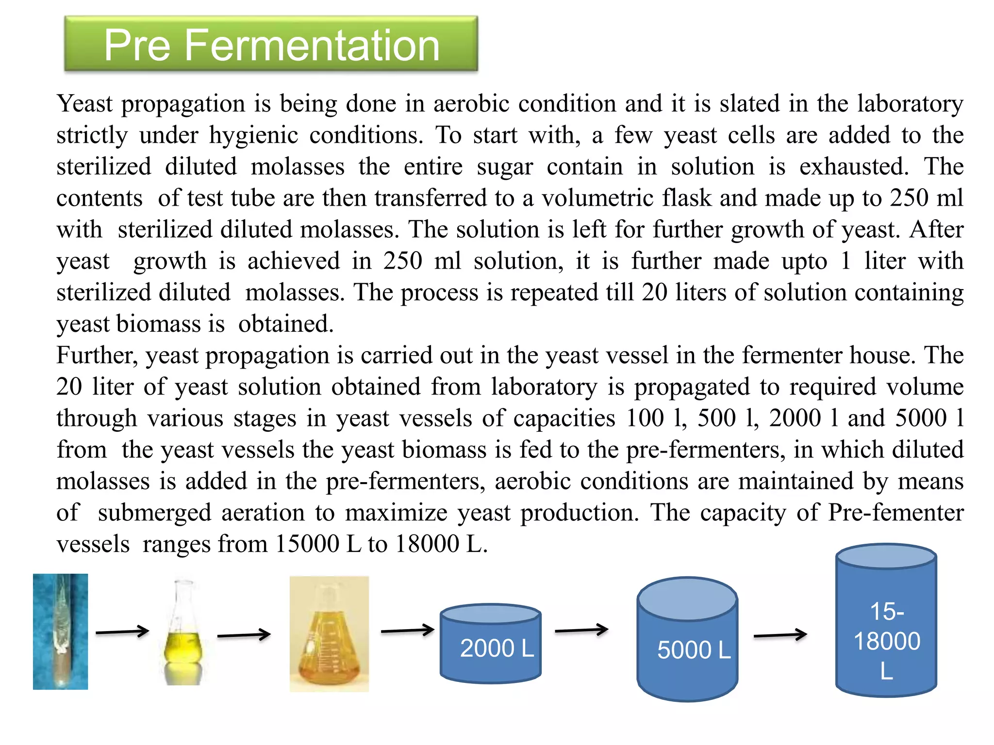 Manufacturing Process of molasses based disttilery-converted.pptx