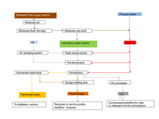 Manufacturing Process of molasses based disttilery-converted.pptx