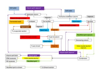 Manufacturing Process of molasses based disttilery-converted.pptx