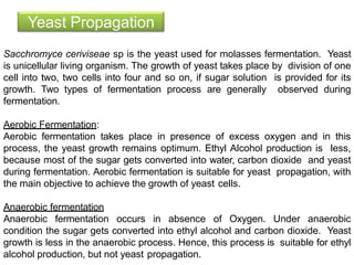 Manufacturing Process of molasses based disttilery-converted.pptx
