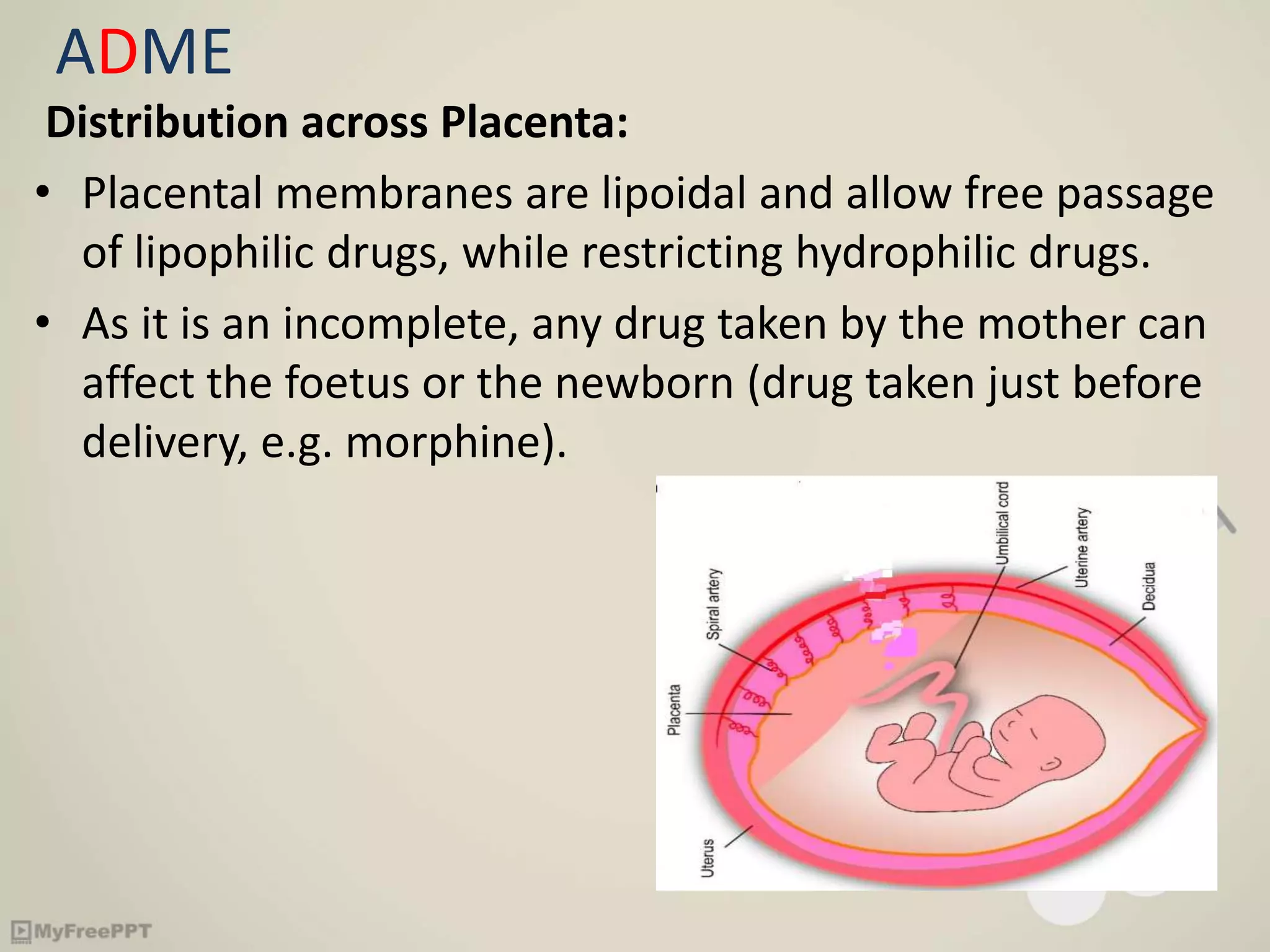 Pharmacokinetics & Pharmacodynamics | PPTX