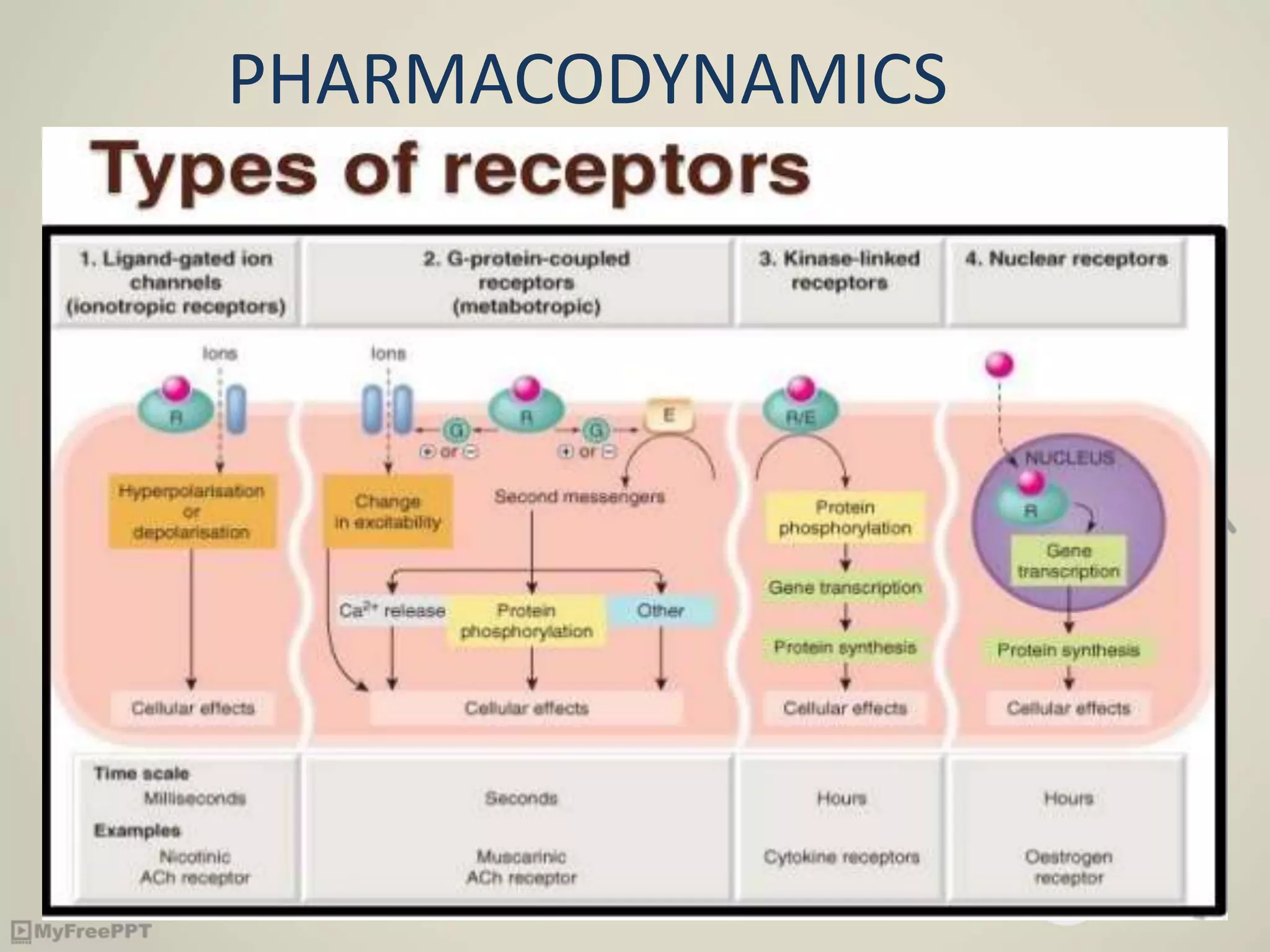 Pharmacokinetics & Pharmacodynamics | PPTX