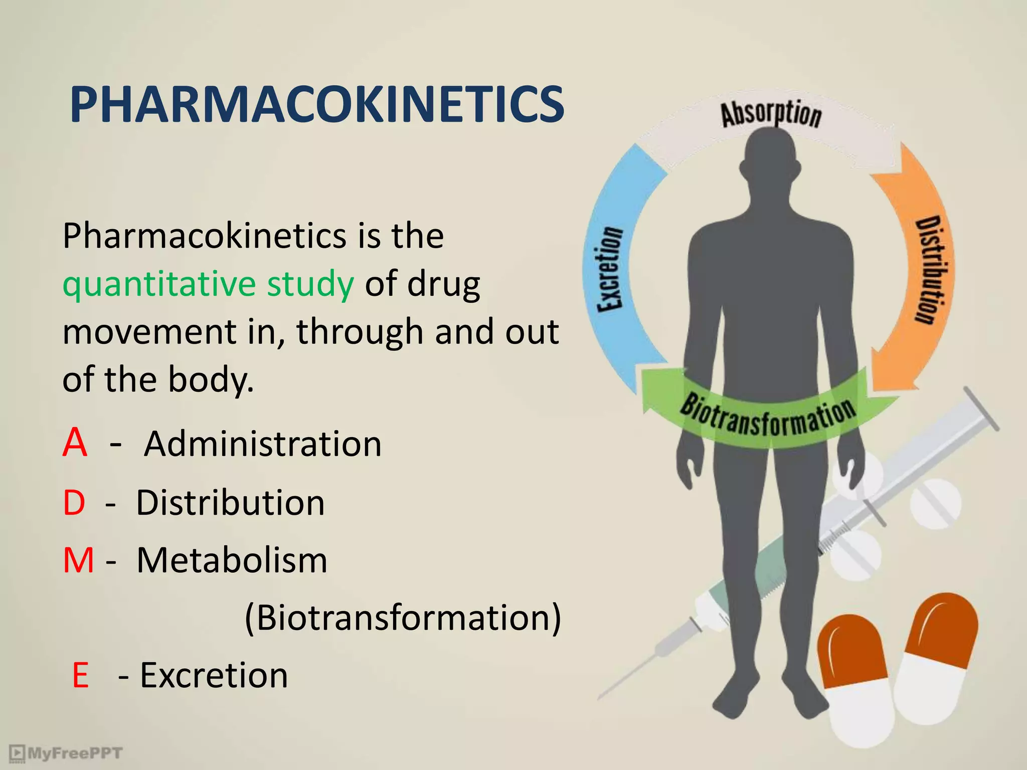 Pharmacokinetics & Pharmacodynamics | PPTX