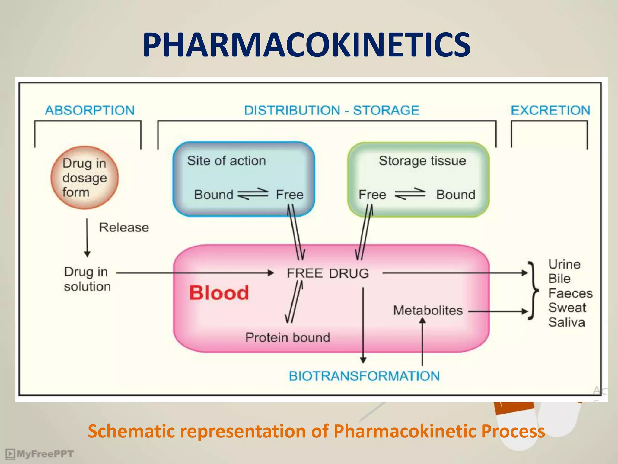 Pharmacokinetics & Pharmacodynamics | PPTX