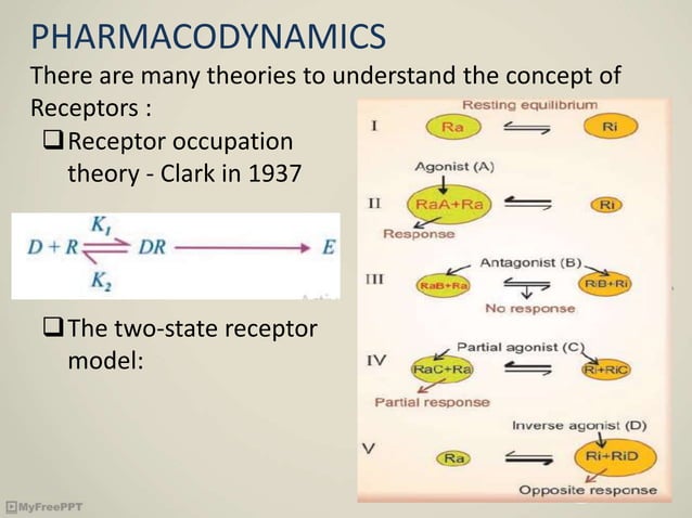 Pharmacokinetics & Pharmacodynamics | PPTX | Chemistry | Science
