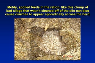 Manure Evaluation: Key To Nutrition And Herd Health.ppt