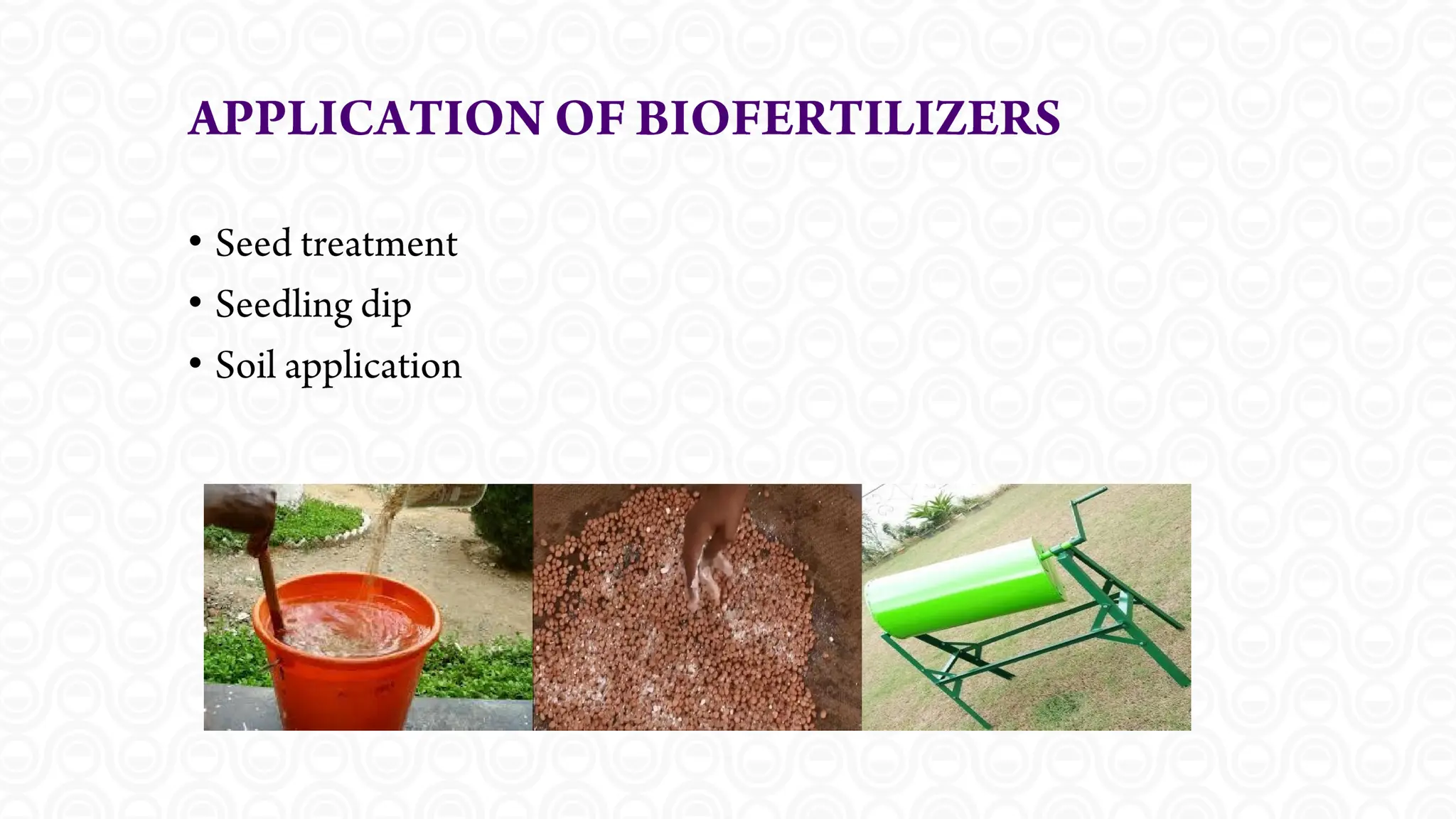 MANURES AND FERTILISERS, biofertilisers application | PPTX