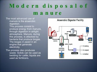 Manure, Yesterday And Today | PPT