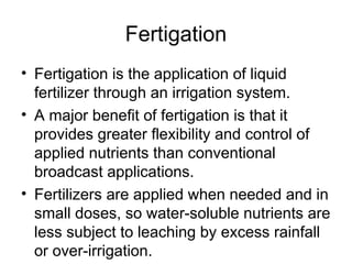 Manuring and fertilization of citrus.ppt