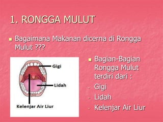 MANUSIA.ppt