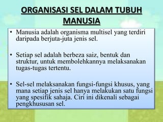 Manusia Adalah Organisma yang Kompleks (Slide PBS) | PPTX