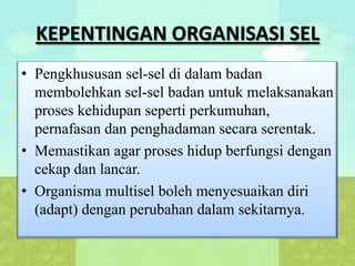 Manusia Adalah Organisma yang Kompleks (Slide PBS) | PPTX