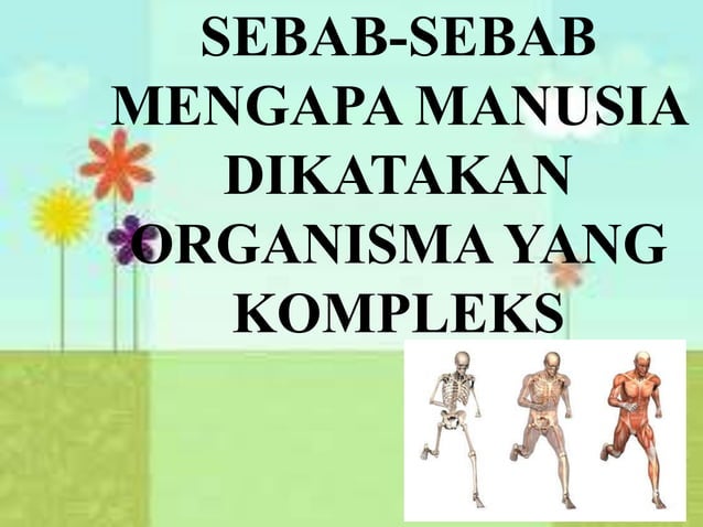 Manusia Adalah Organisma yang Kompleks (Slide PBS) | PPTX
