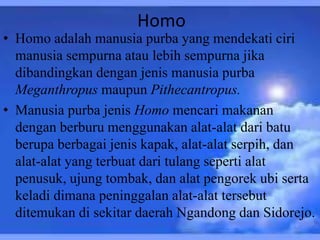 Manusia homo | PPTX