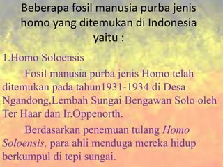 Manusia homo | PPTX